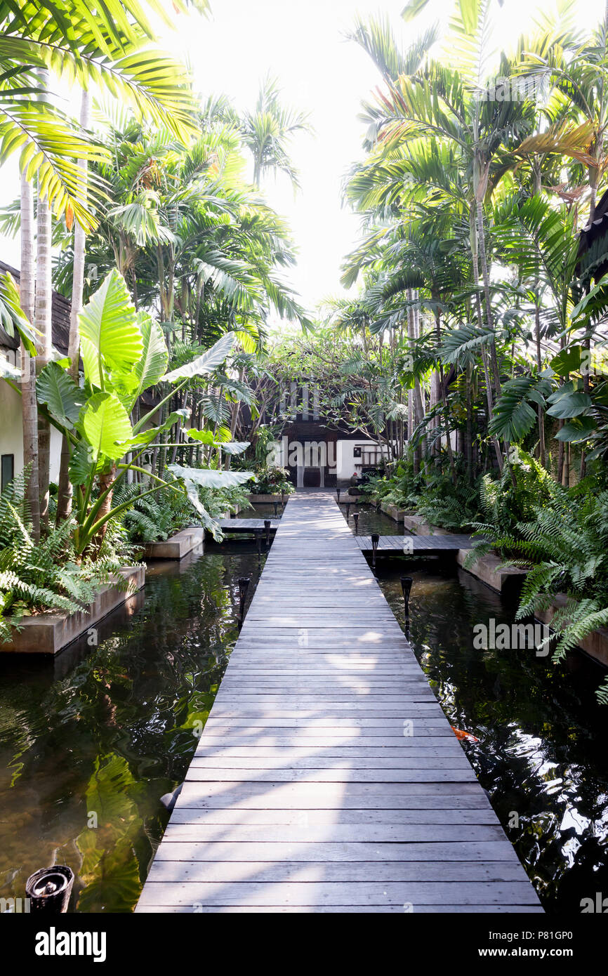 Beautiful and warm wooden bridge alley in a small terrace patio Stock ...