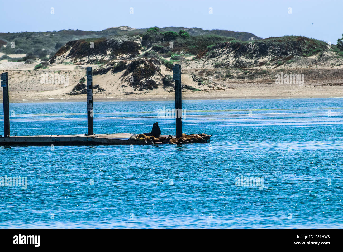 At the beach Stock Photo - Alamy