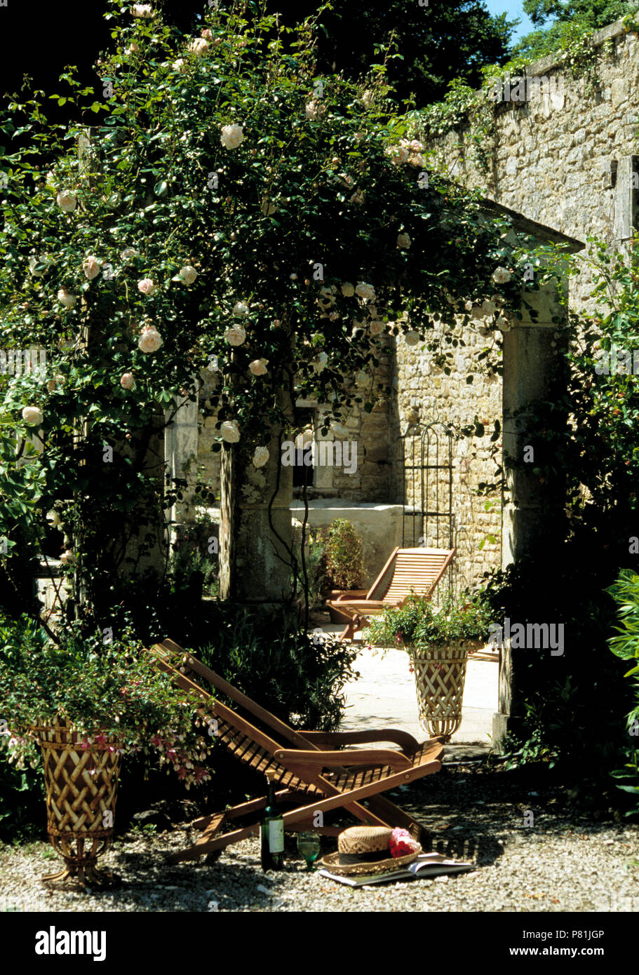 Old slatted wooden chair below arch with cream rose in country garden ...
