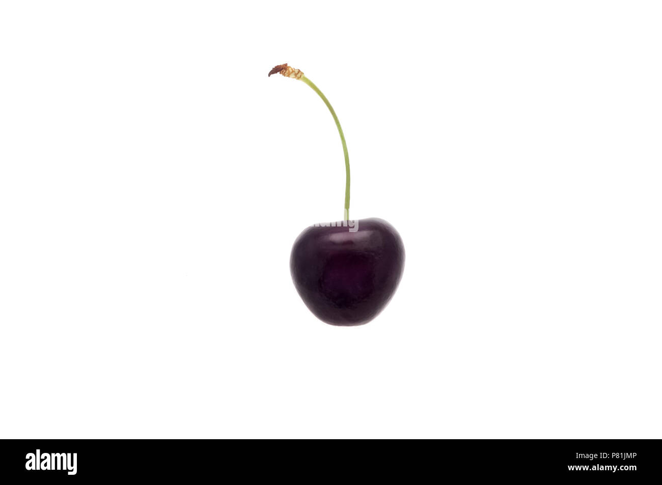 One dark ripe cherry. On a white background. Isolated Stock Photo - Alamy