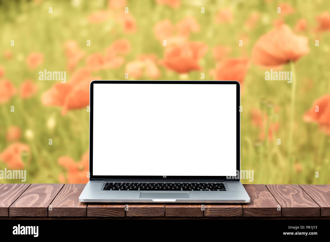 Modern laptop with empty screen. Front view Stock Photo - Alamy