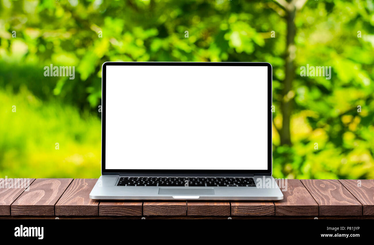 Modern laptop with empty screen. Front view Stock Photo - Alamy