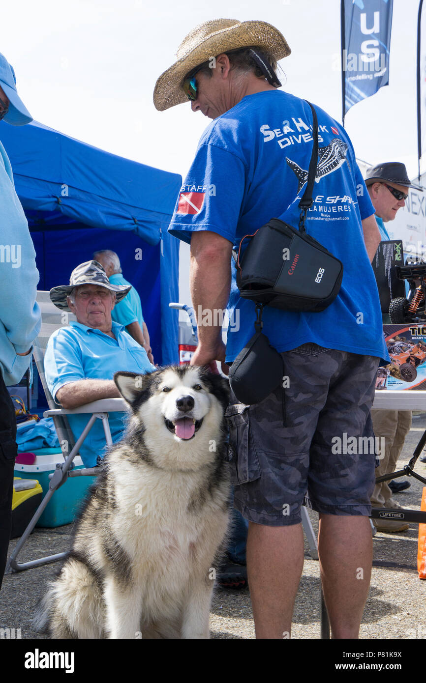 Visitor with dog at wings and wheels hi-res stock photography and ...