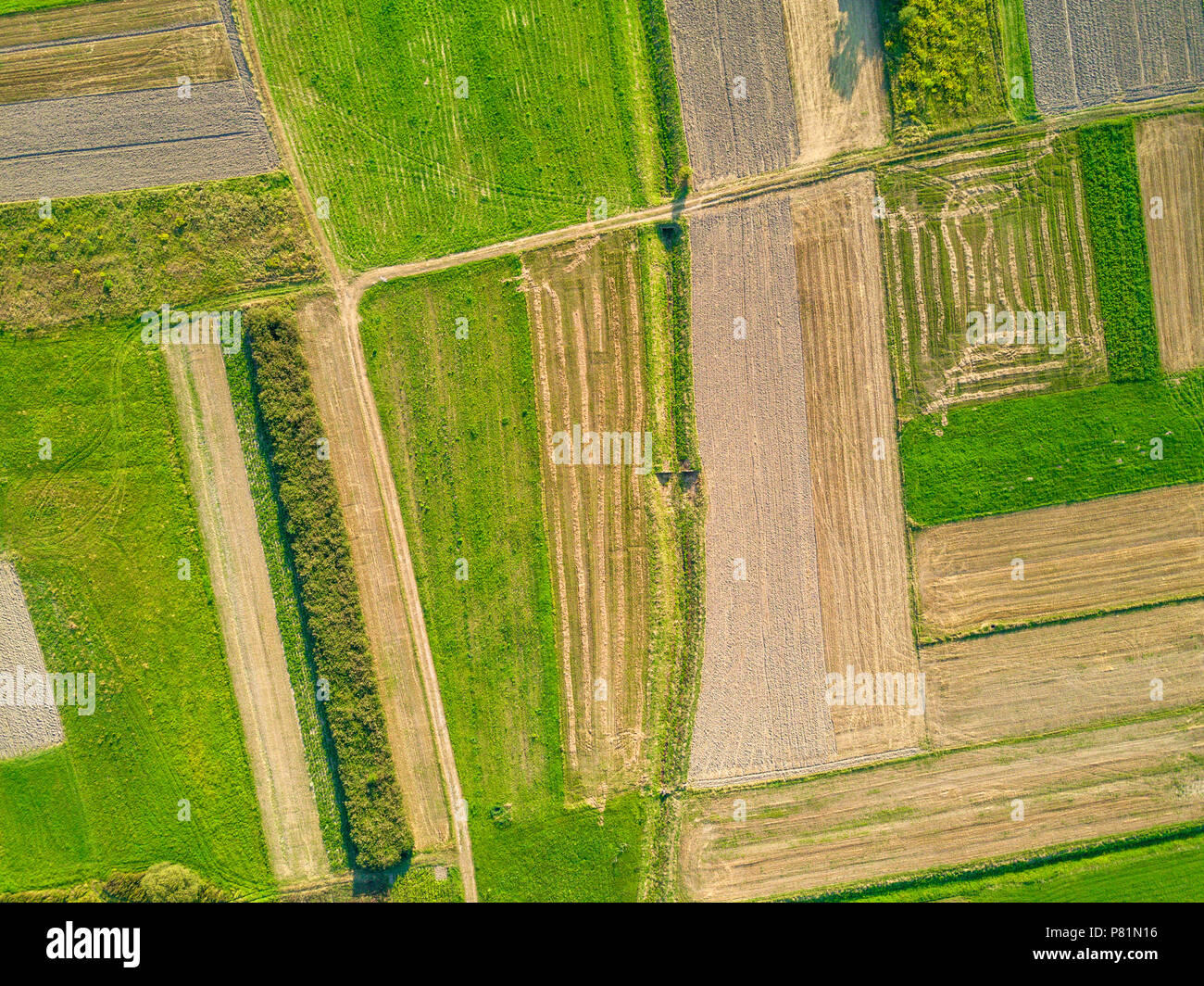 Aerial view of agricultural fields Stock Photo - Alamy