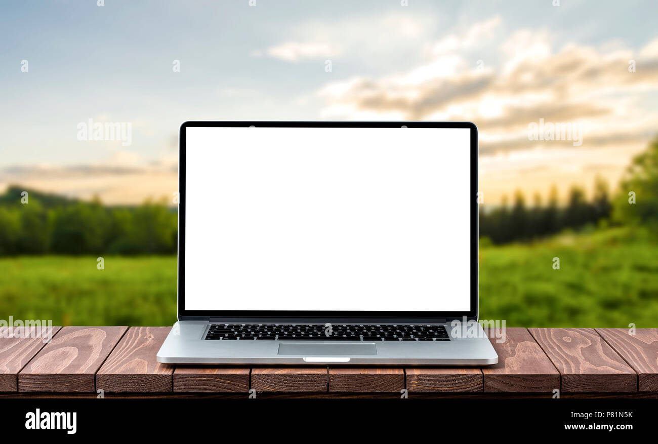 Modern laptop with empty screen. Front view Stock Photo - Alamy