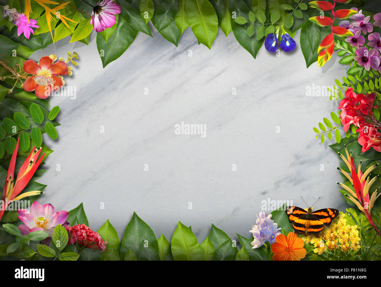 Nature border with flower and green leaf background Stock Photo - Alamy