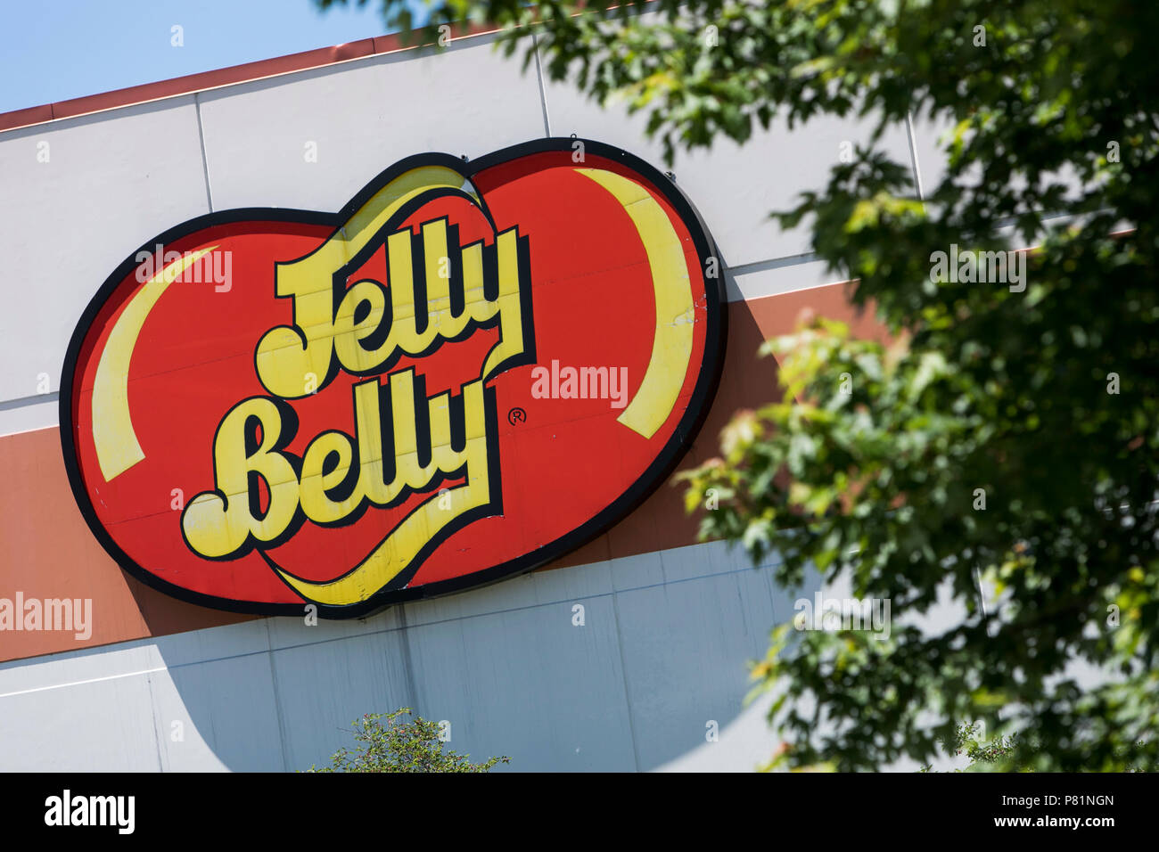 Jelly Beans Logo