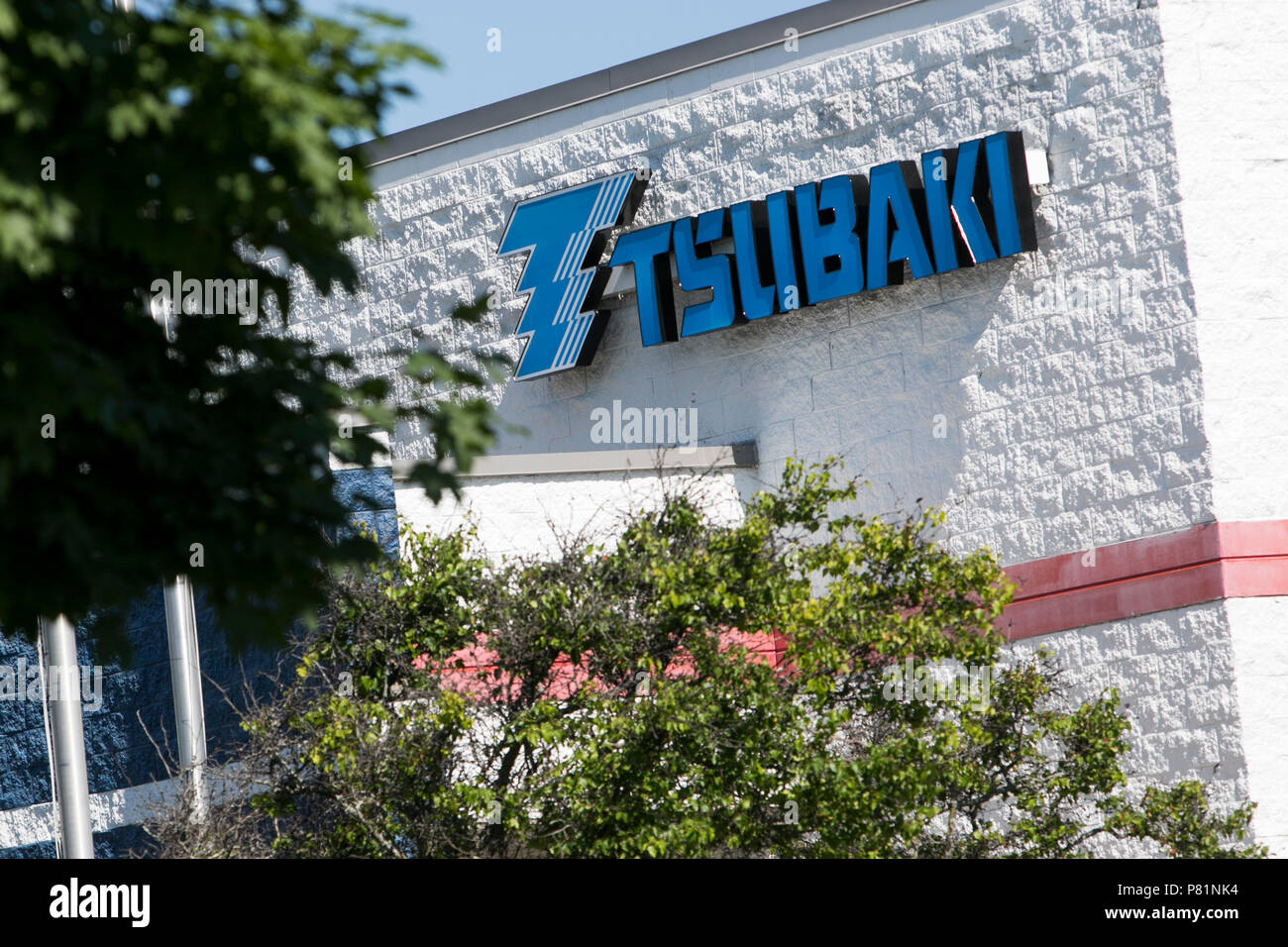 Tsubaki hi-res stock photography and images - Alamy