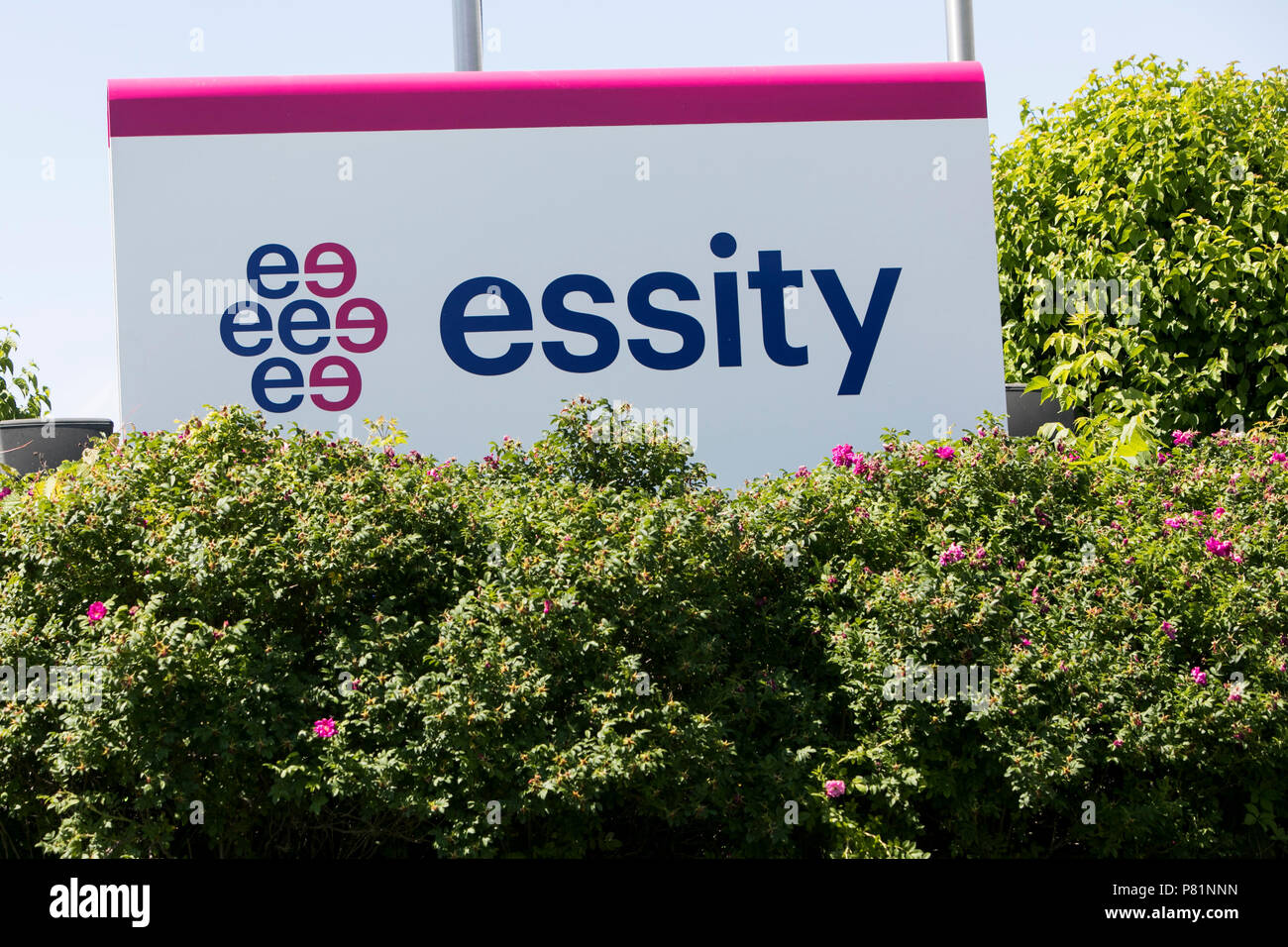 Essity office hi-res stock photography and images - Alamy