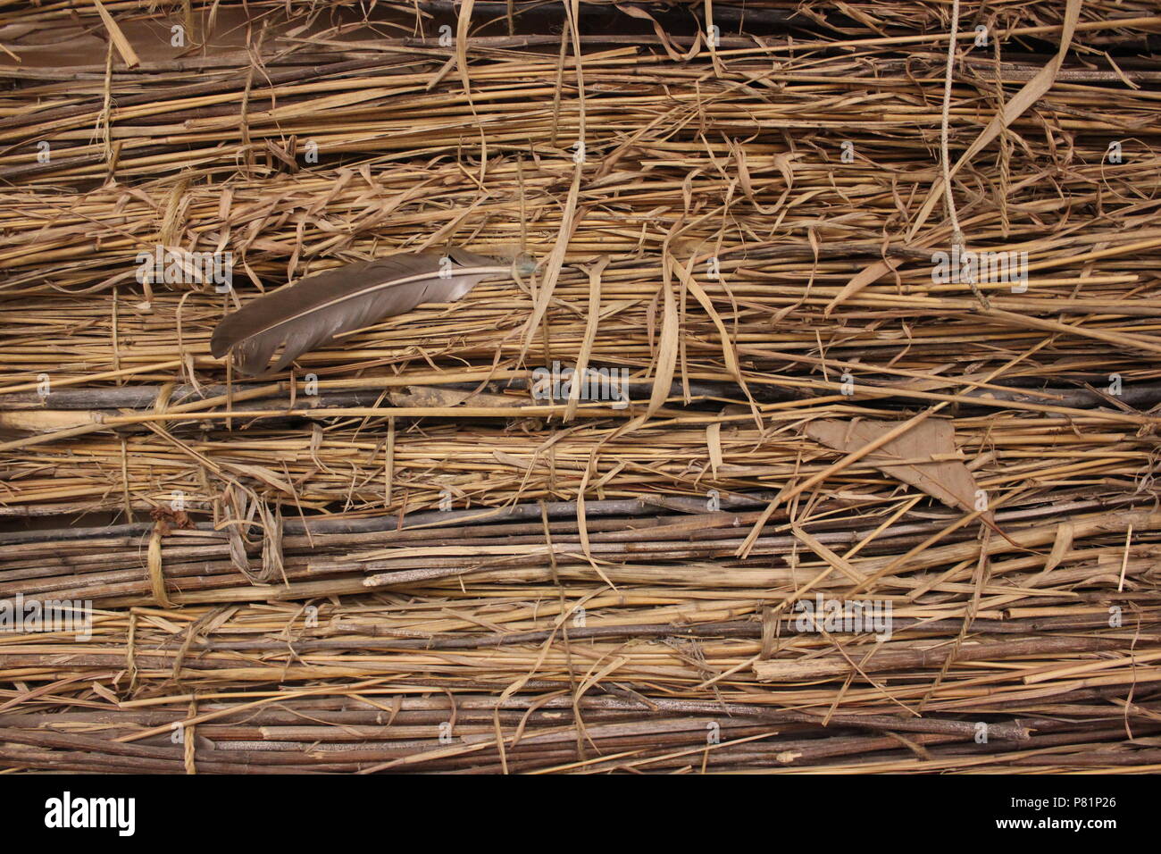 Woven Grasses High Resolution Stock Photography and Images - Alamy