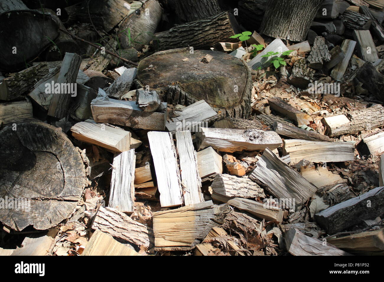 Riving wood hi-res stock photography and images - Alamy