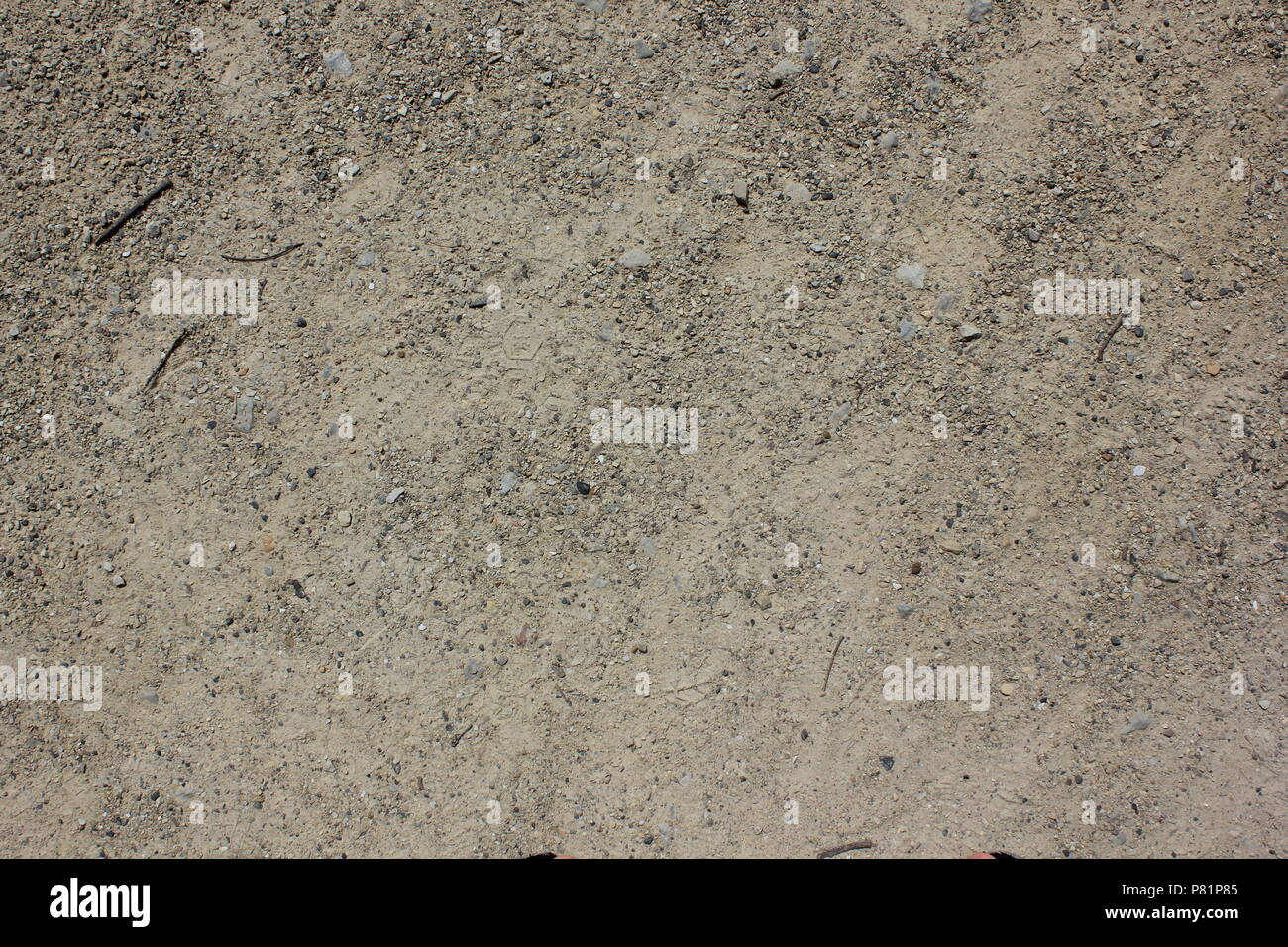 Trampled and worn footpath at the forest Stock Photo - Alamy