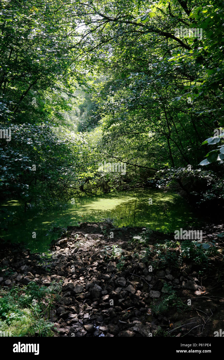 Hot afternoon sun through hi-res stock photography and images - Alamy