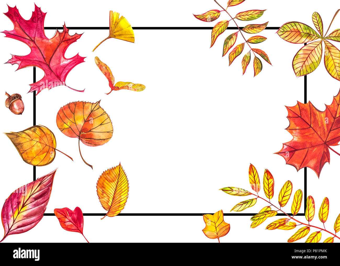 Autumn template background. Seasonal illustrations.web banner template ...
