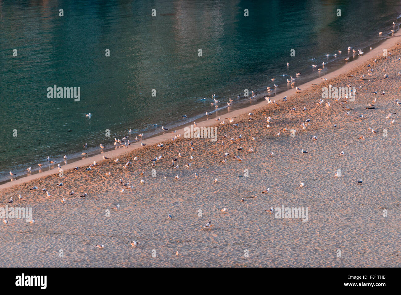 The orange light of dawn over the beach of Quemado and the cliff in Al ...