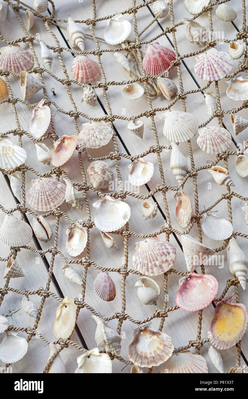 Fishing net sea shells hi-res stock photography and images - Alamy