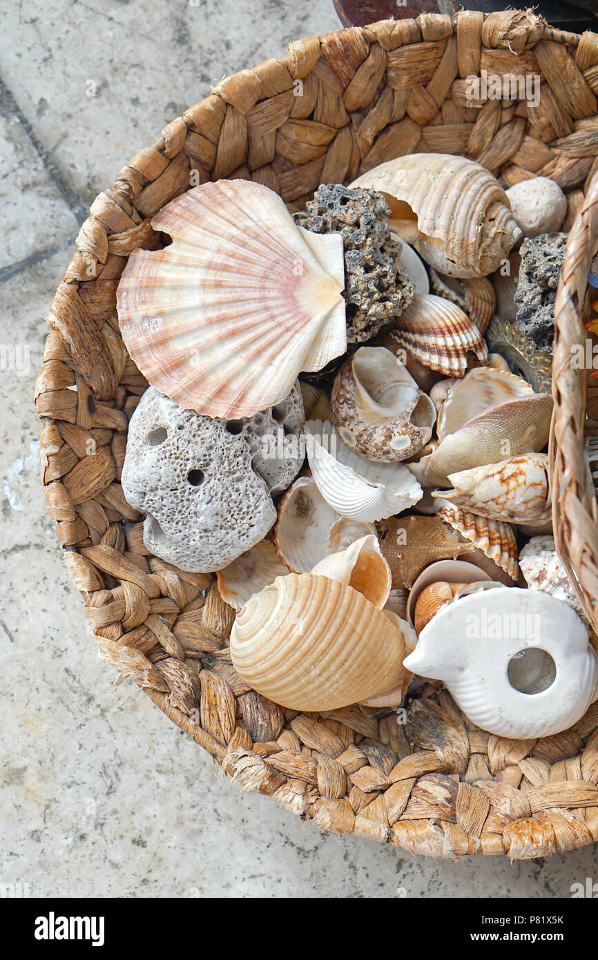Empty sea shells and snails in basket Stock Photo - Alamy