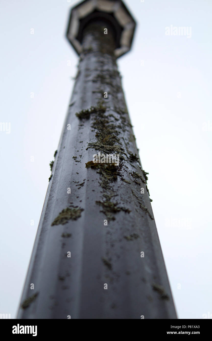 Mossy lamp post Stock Photo - Alamy