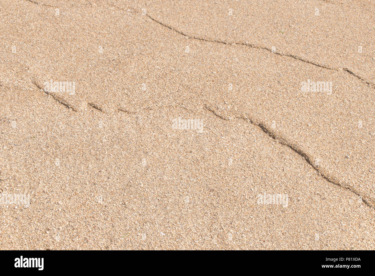 Sand texture. Sand on the beach. Sandy beach for background. Top view ... Sand texture. Sand on the beach. Sandy beach for background. Top view ...