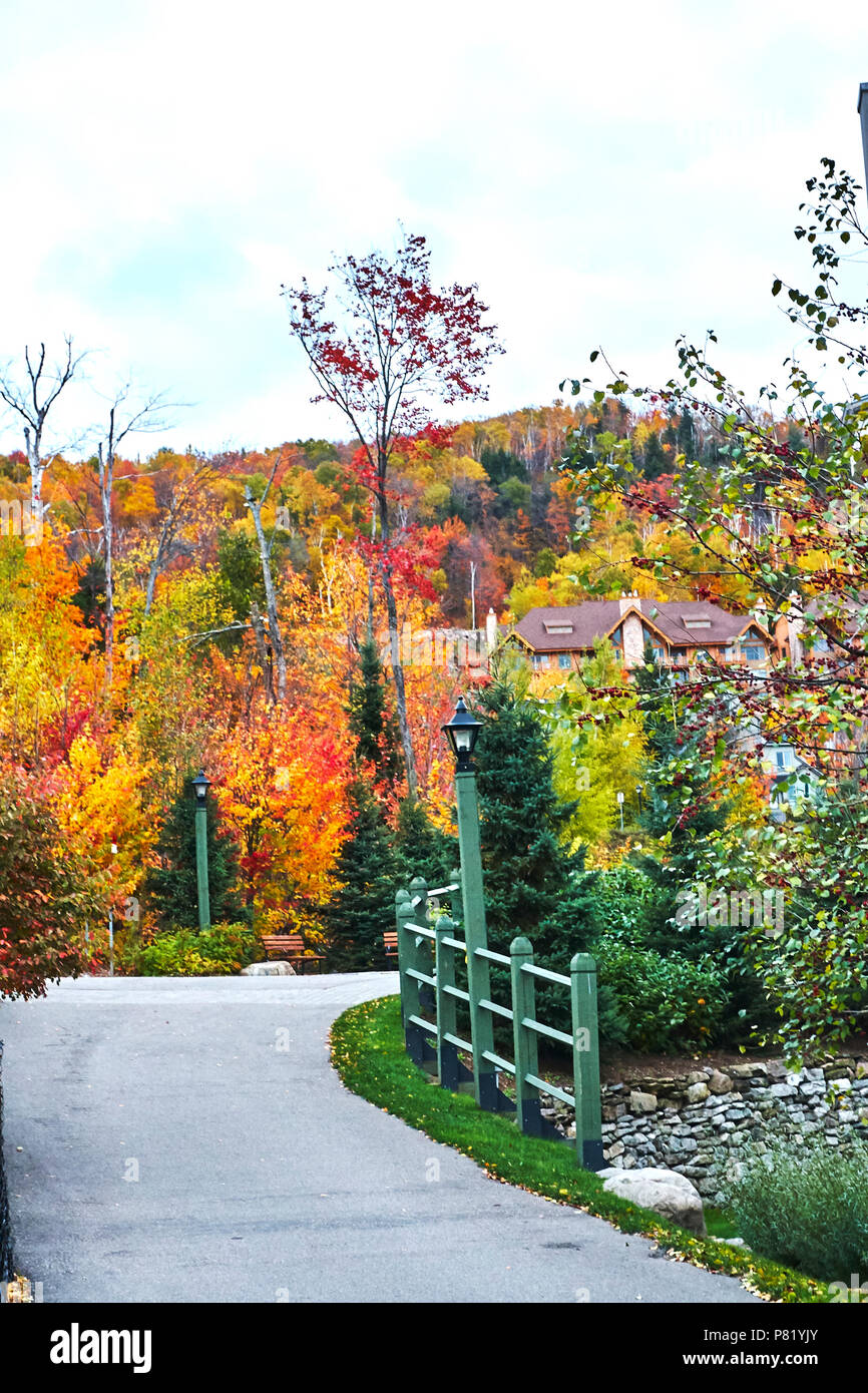 Views of Canada during different seasons Stock Photo - Alamy