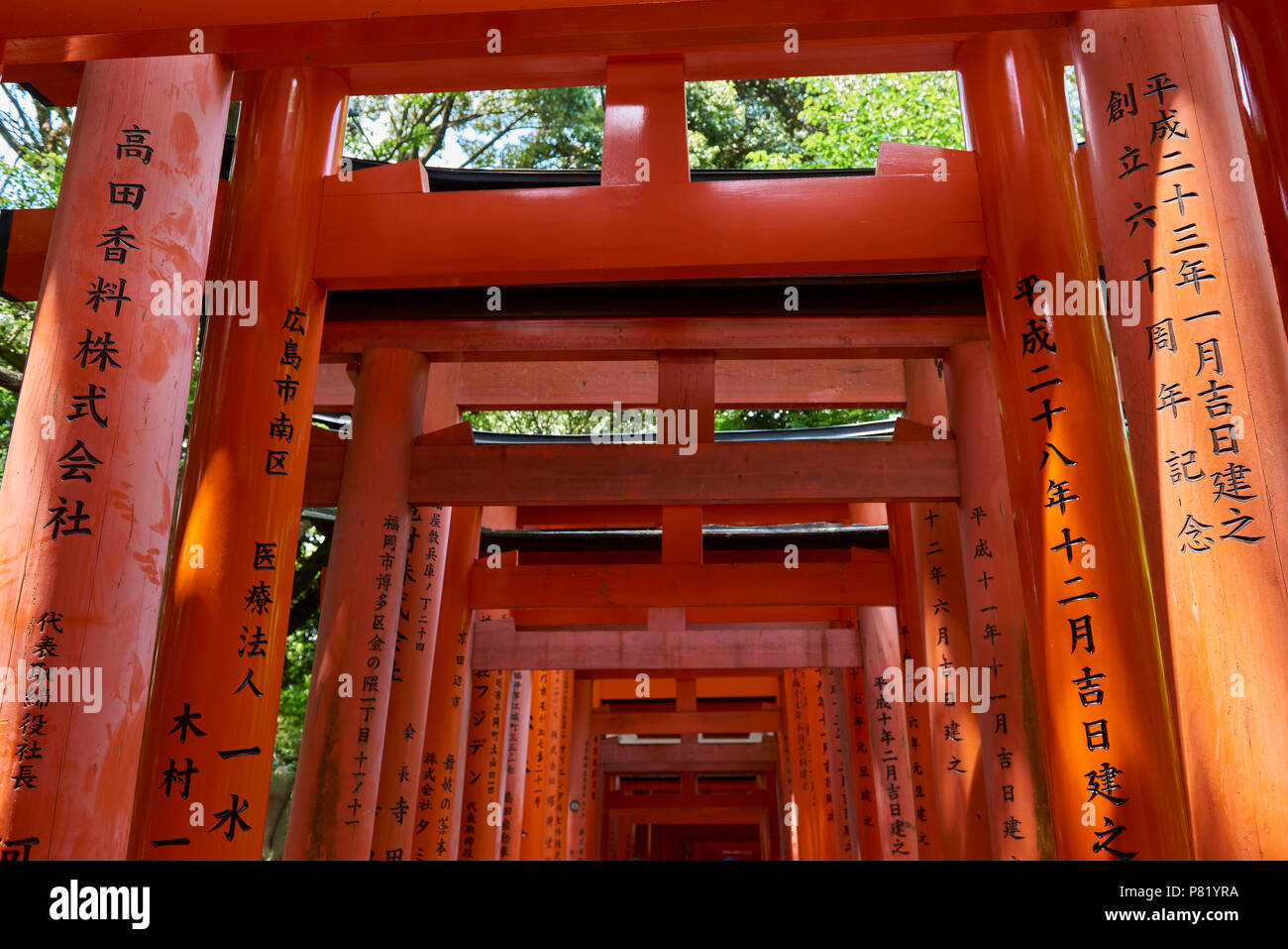 Detail of tunnel of Senbon Torii gates in Fushimi Inari Shrine in Kyoto ...