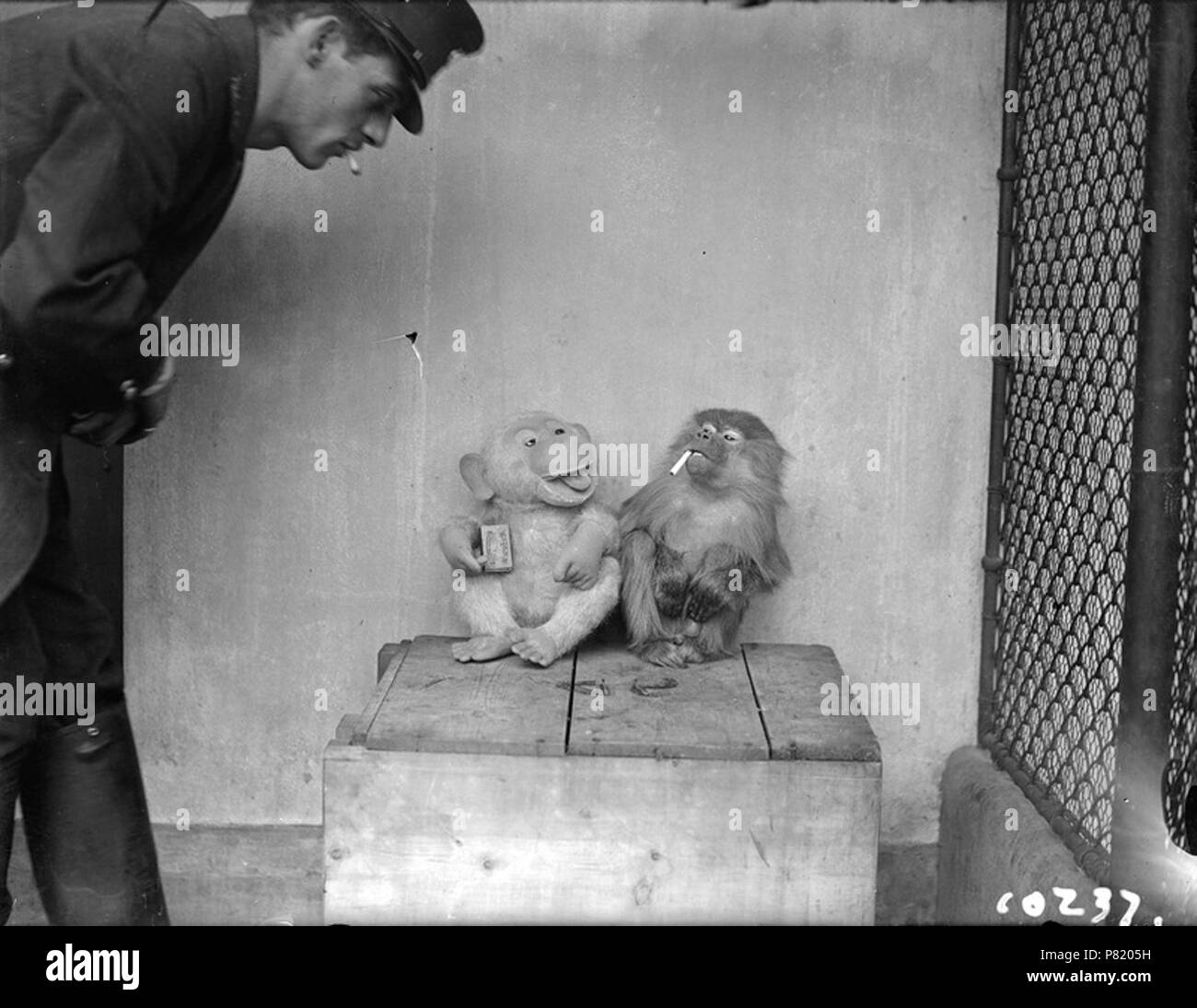 December 1928 hi-res stock photography and images - Alamy