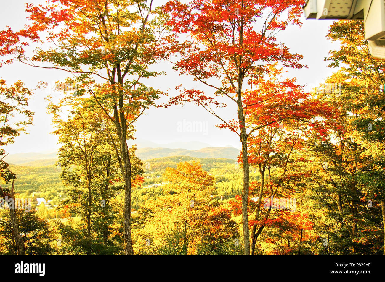 Views of Canada during different seasons Stock Photo - Alamy