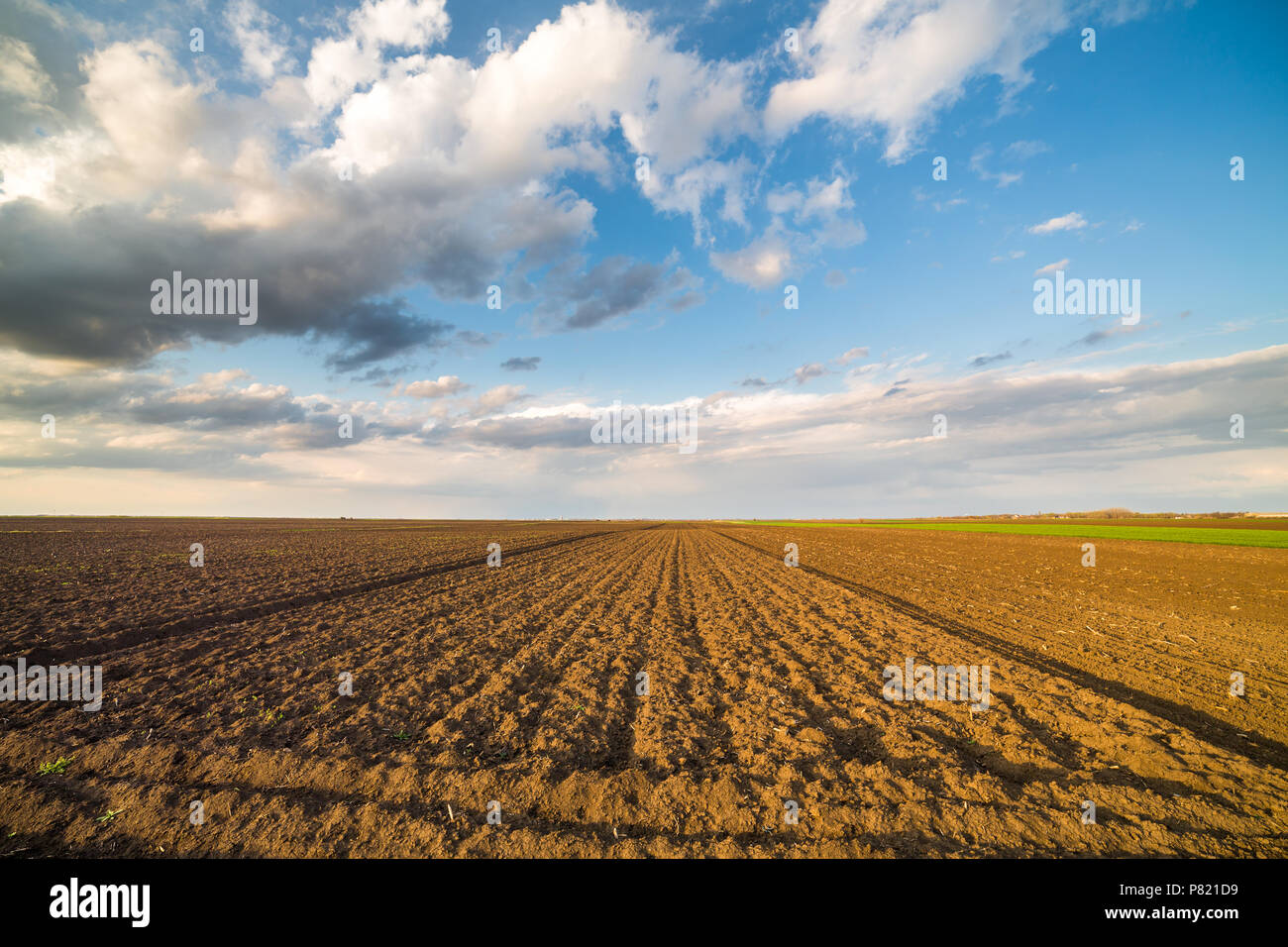Agricultural landscape, arable crop field Stock Photo - Alamy
