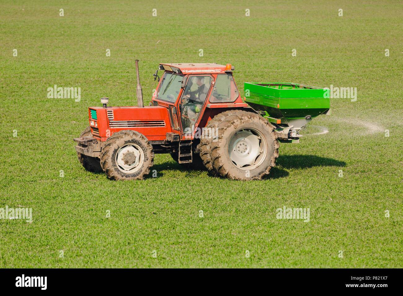 Farmer in tractor fertilizing wheat field at spring with npk Stock ...