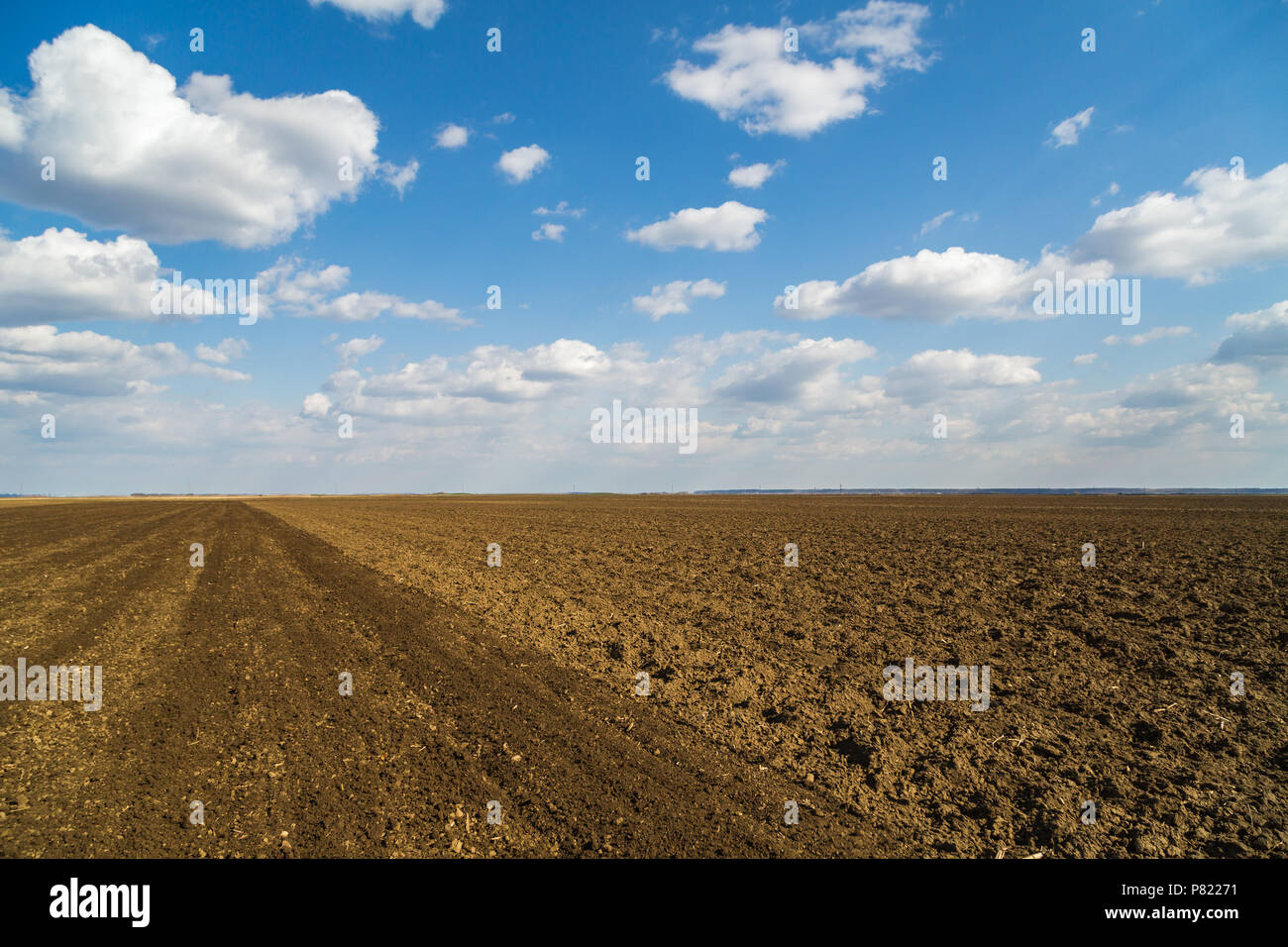 Agricultural landscape, arable crop field Stock Photo - Alamy