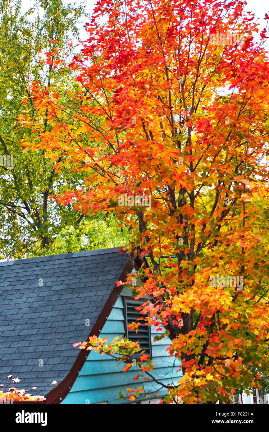 Views of Canada during different seasons Stock Photo - Alamy