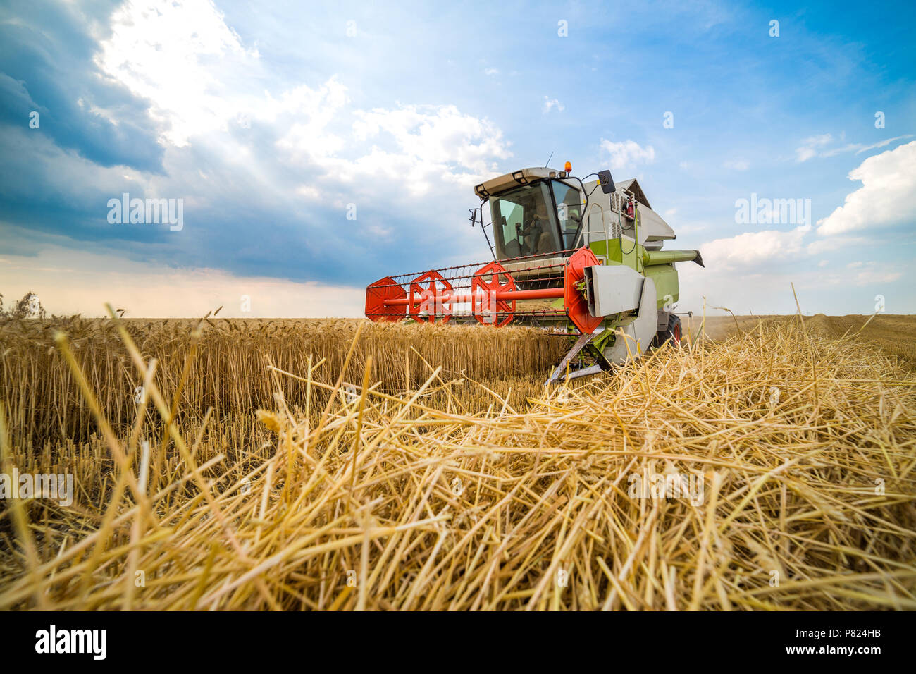 Combine harvester in action on wheat field Stock Photo - Alamy