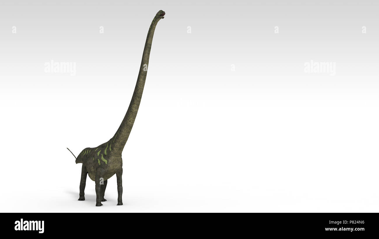 Mamenchisaurus fossil hi-res stock photography and images - Alamy