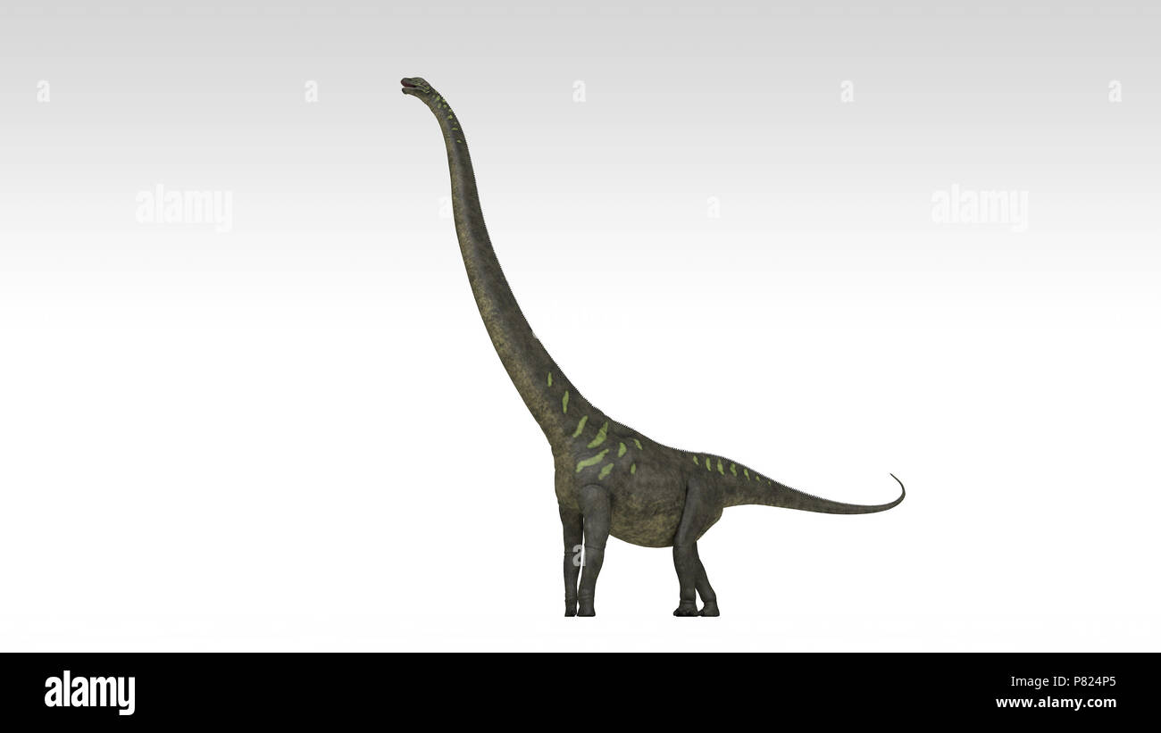 Mamenchisaurus fossil hi-res stock photography and images - Alamy