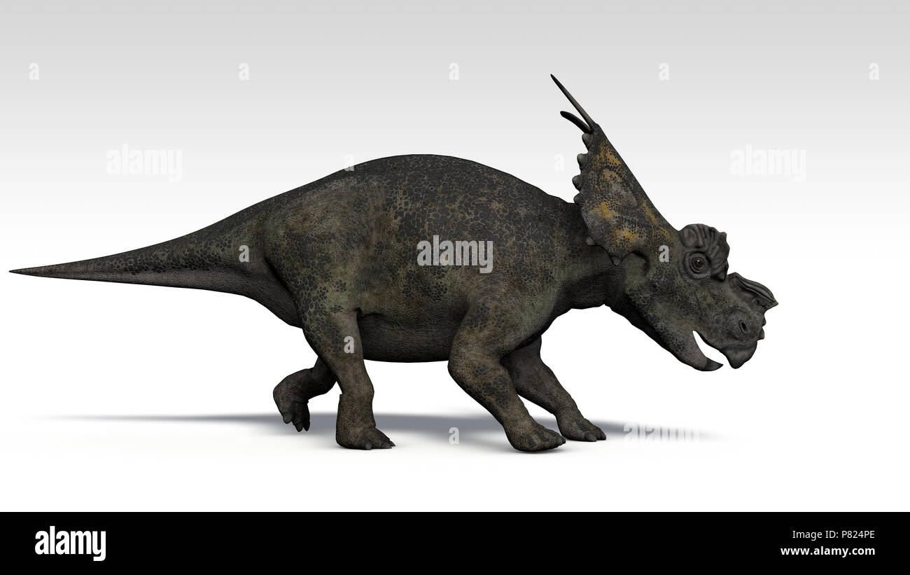 Achelousaurus hi-res stock photography and images - Alamy