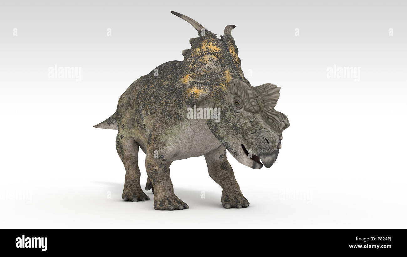 Achelousaurus hi-res stock photography and images - Alamy