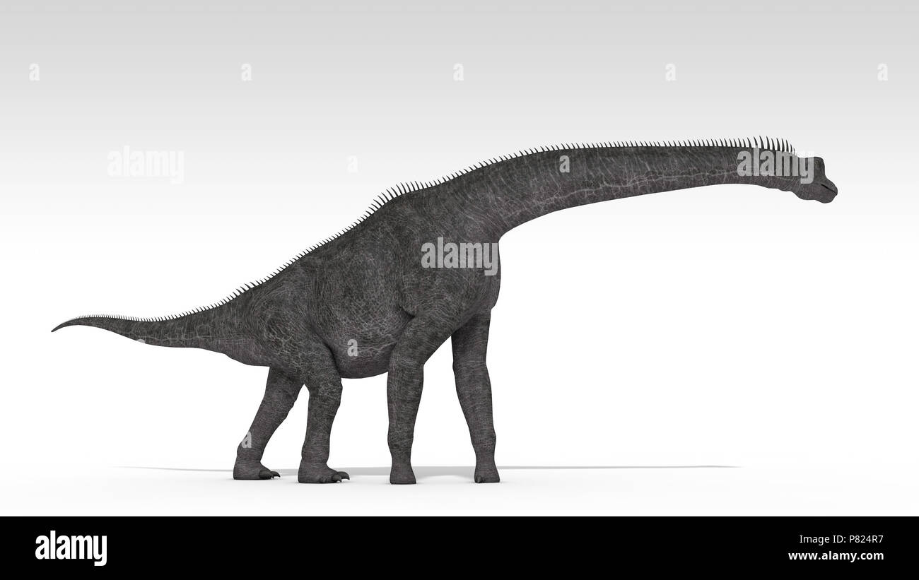Illustration brachiosaurus dinosaur species isolated hi-res stock ...