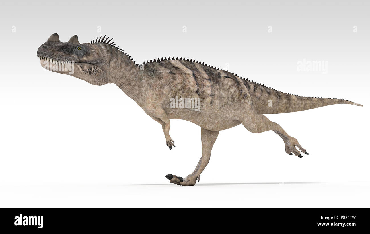 Fast theropod hi-res stock photography and images - Alamy