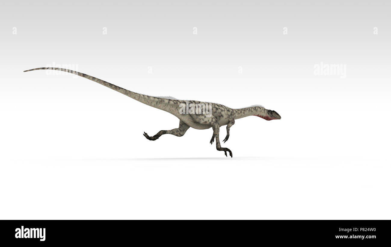 Coelophysis tooth hi-res stock photography and images - Alamy