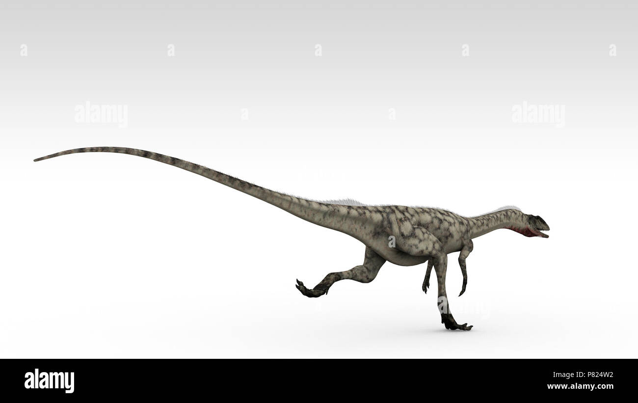 Coelophysis tooth hi-res stock photography and images - Alamy