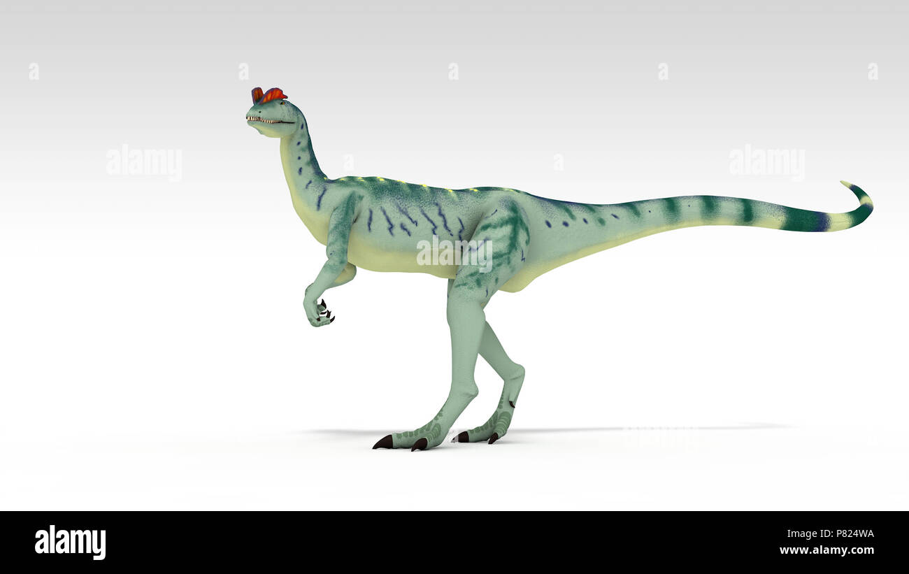 Dilophosaurus fossil hi-res stock photography and images - Alamy