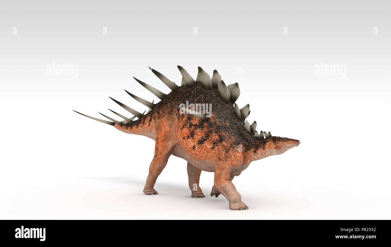 Kentrosaurus fossil hi-res stock photography and images - Alamy