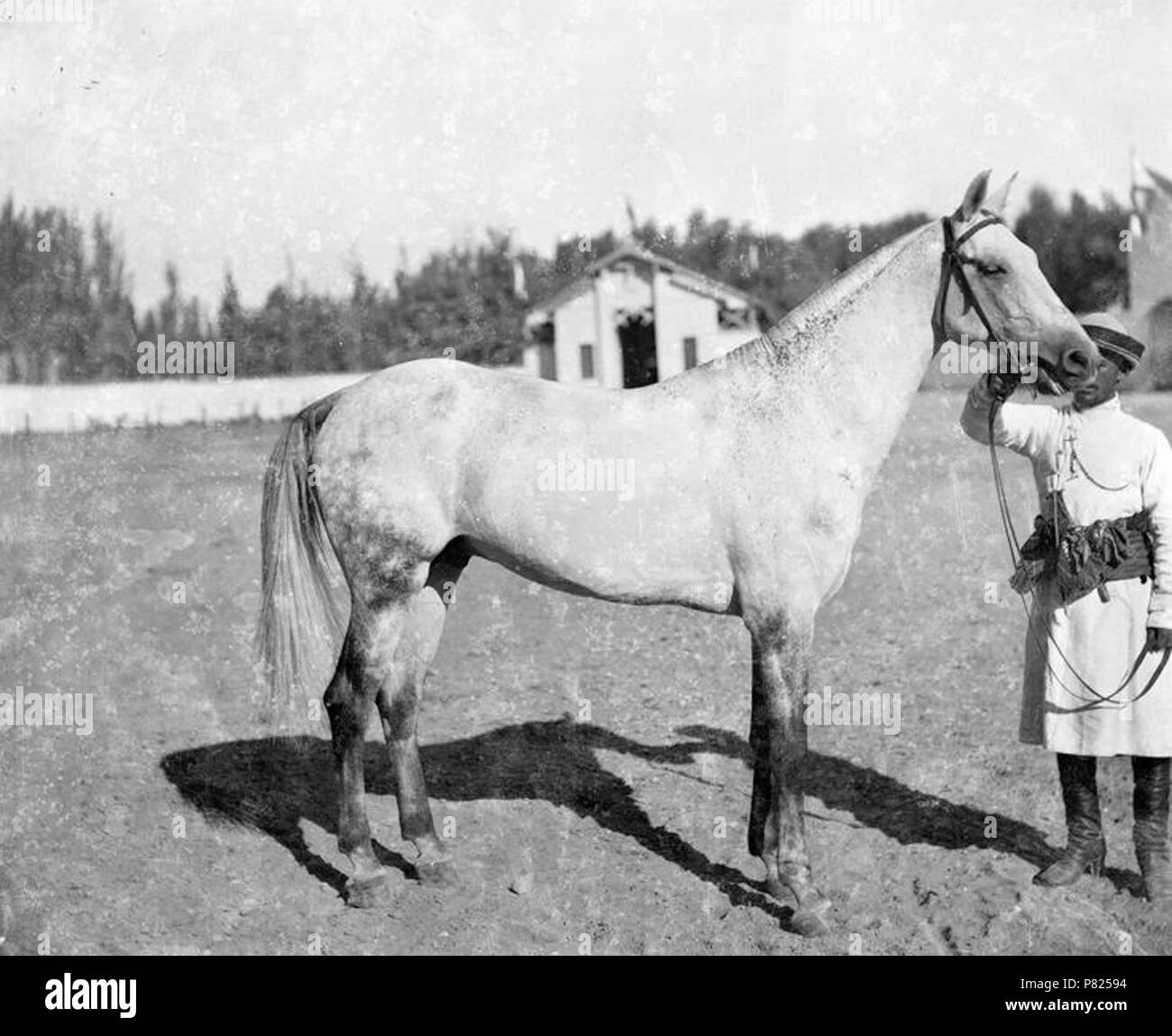 Inventory record Black and White Stock Photos & Images - Alamy
