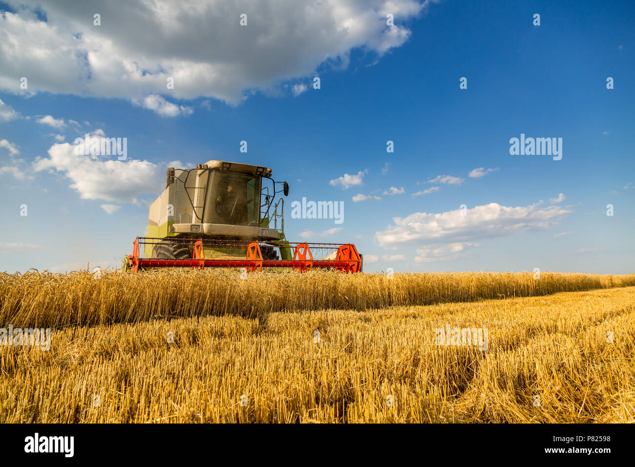 Combine harvester in action on wheat field Stock Photo - Alamy
