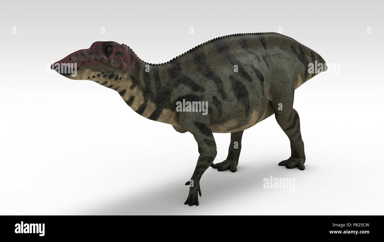 Iguanodont hi-res stock photography and images - Alamy