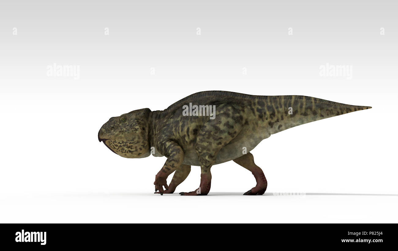 Udanoceratops hi-res stock photography and images - Alamy