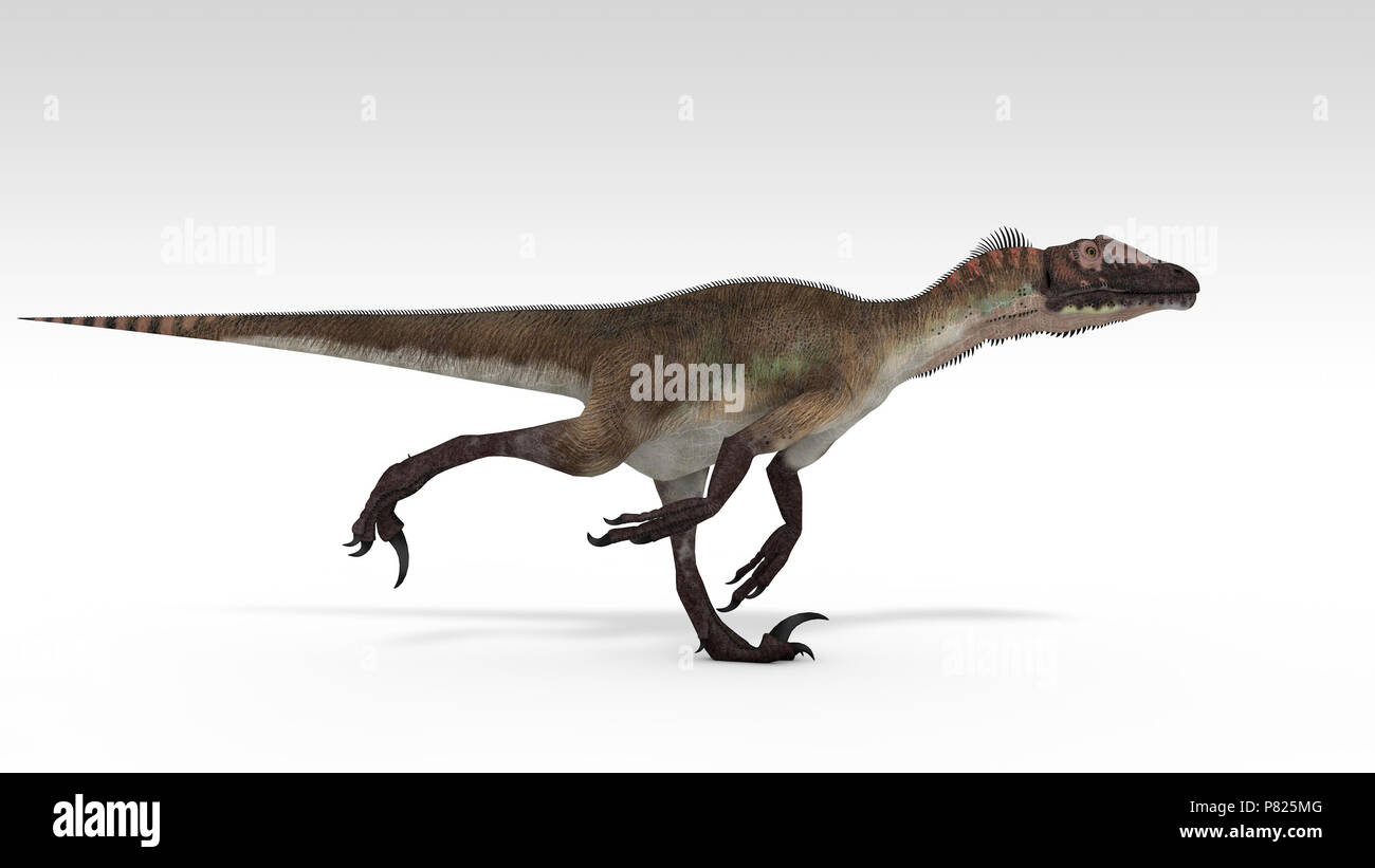 3d rendering of the running utahraptor isolated on white Stock Photo ...