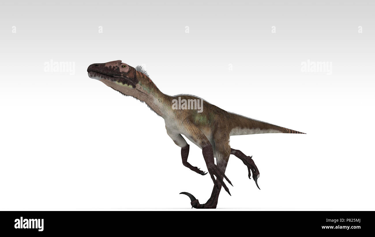 3d rendering of the running utahraptor isolated on white Stock Photo ...