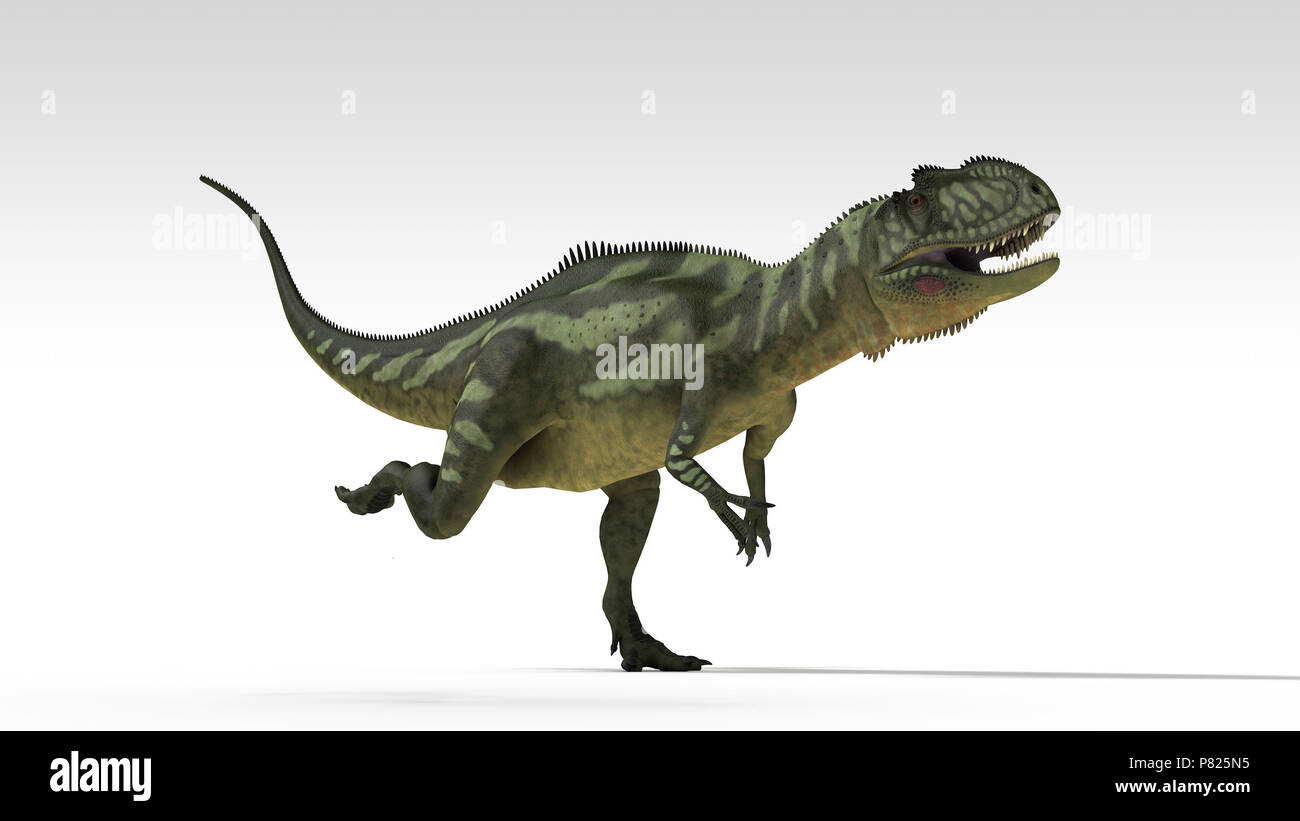 Yangchuanosaurus hi-res stock photography and images - Alamy
