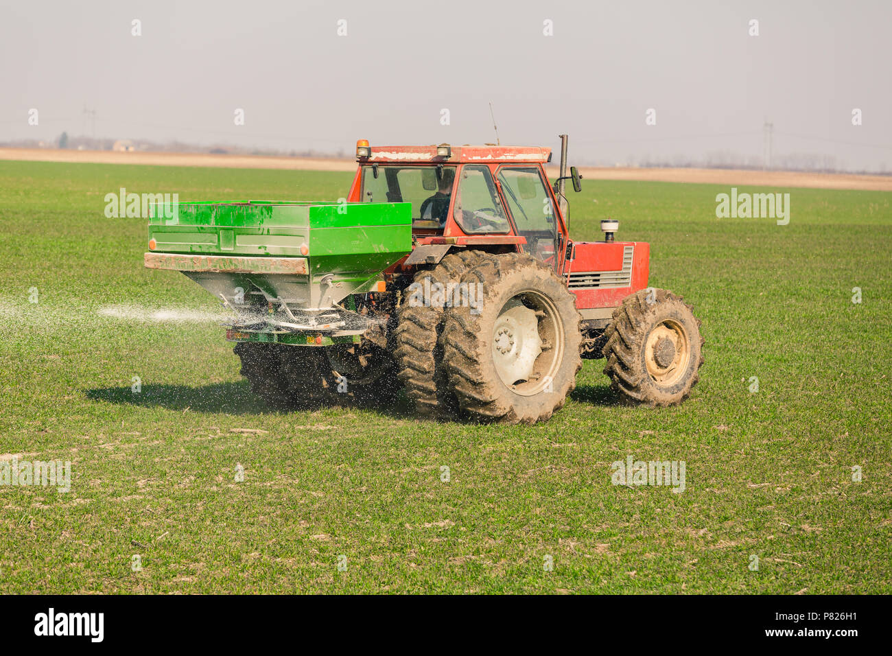 Farmer in tractor fertilizing wheat field at spring with npk Stock ...